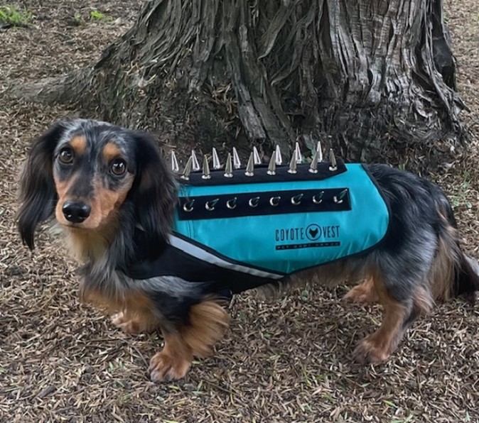 Pet 2 Us Coyote Pet Body Armour » Pet 2 Us